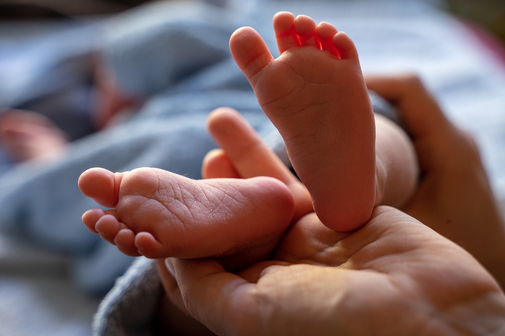 Maternidade de MG terá de pagar despesas de família de bebê que nasceu ... Maternidade de MG terá de pagar despesas de família de bebê que nasceu ...